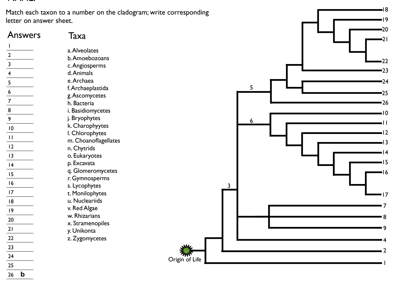 Solved solve the cladogram with the numbers next to the | Chegg.com
