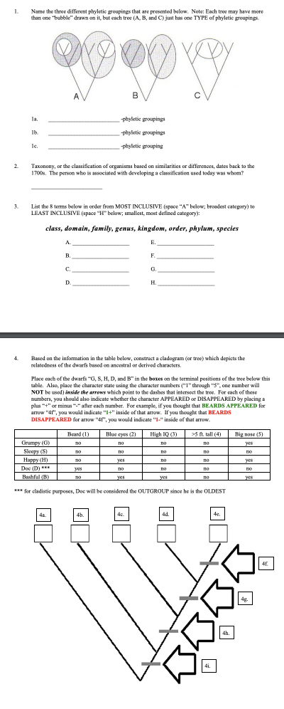 Solved 1. Name the three different phyletic groupings that | Chegg.com