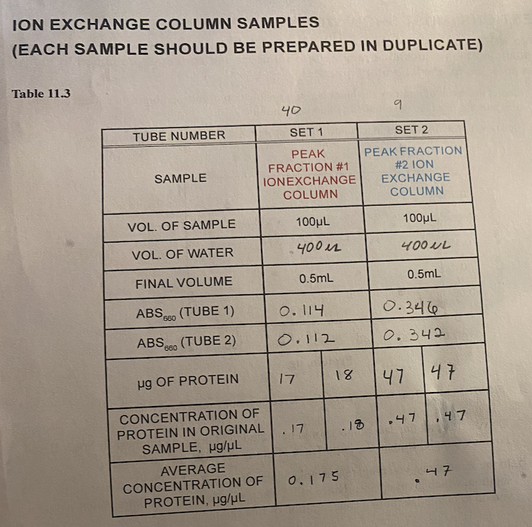 Solved GEL FILTRATION COLUMN SAMPLES (EACH SAMPLE SHOULD BE | Chegg.com