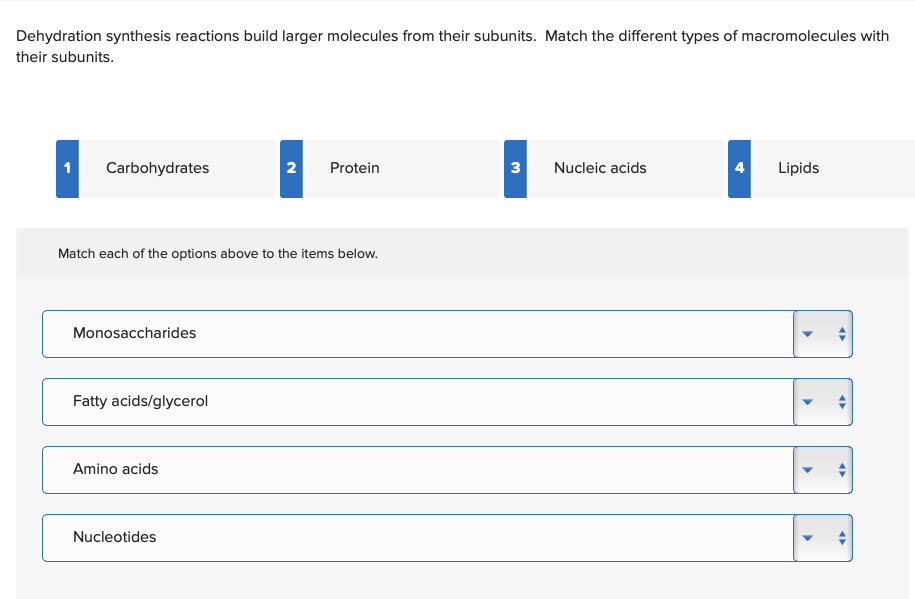 Solved Dehydration synthesis reactions build larger | Chegg.com