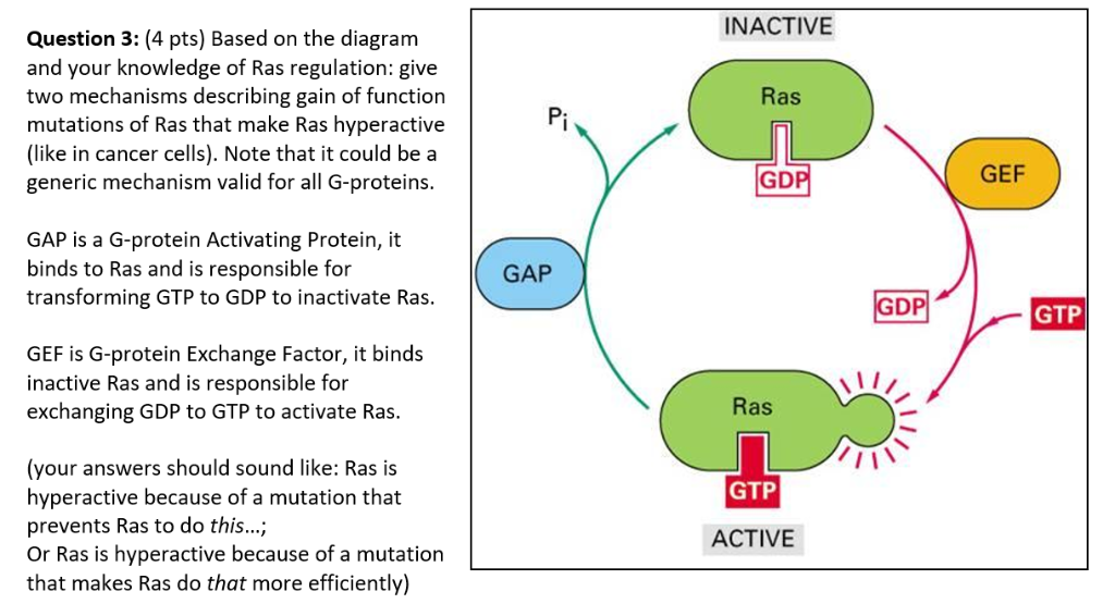Solved INACTIVE Question 3: (4 pts) Based on the diagram and | Chegg.com