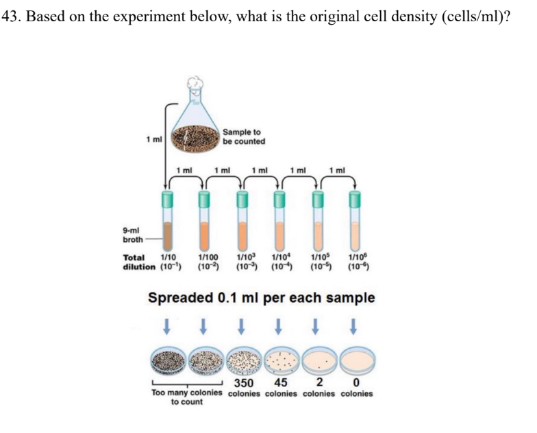 Solved 43. Based on the experiment below, what is the | Chegg.com