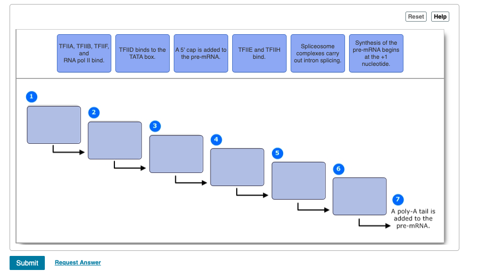 Solved Hint 1. How is a complete initiation complex formed? | Chegg.com