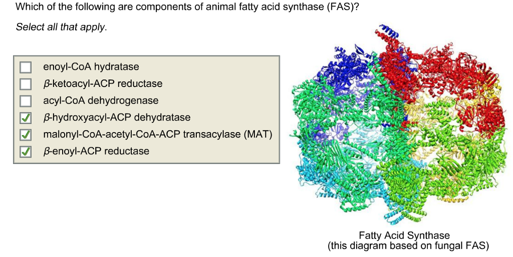Solved Which of the following are components of animal fatty | Chegg.com
