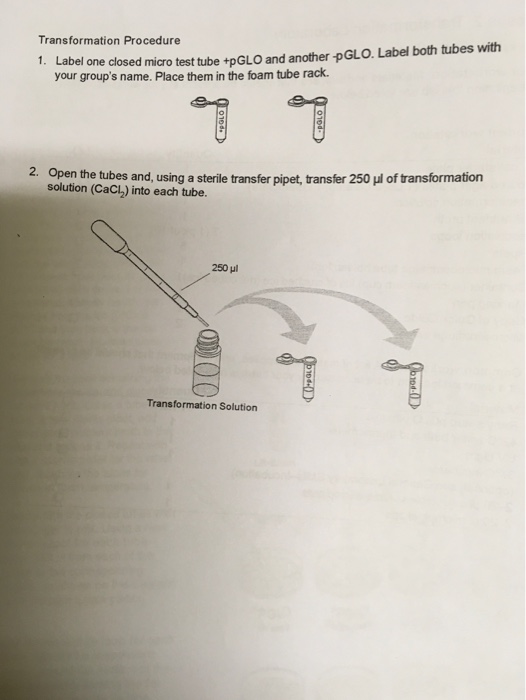 Solved Name Before collecting data and analyzing your | Chegg.com