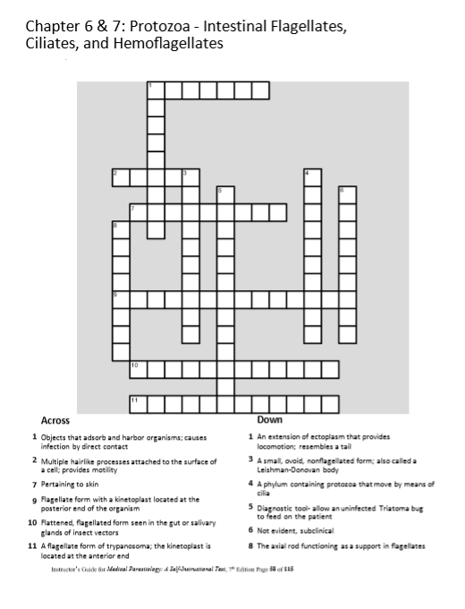 Solved Chapter 6 & 7: Protozoa - Intestinal Flagellates, | Chegg.com