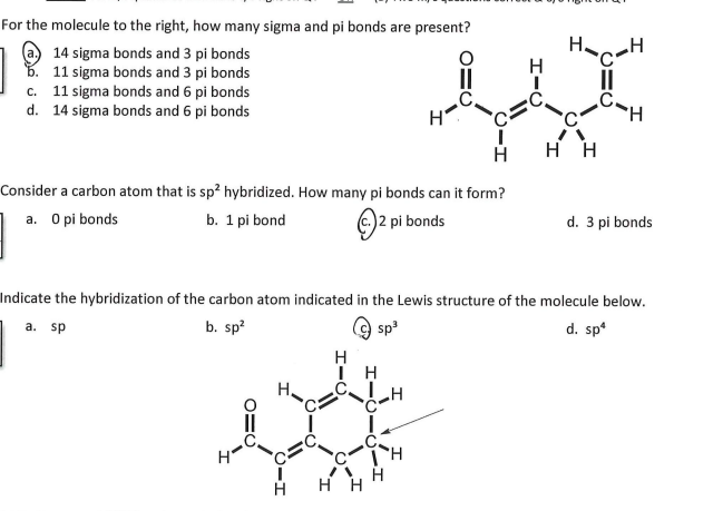 Solved Consider a carbon atom that is sp2 hybridized. How | Chegg.com