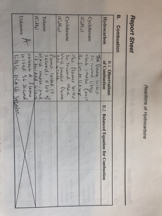 Solved Reactions of Hydrocarbons Report Sheet B. Combustion | Chegg.com