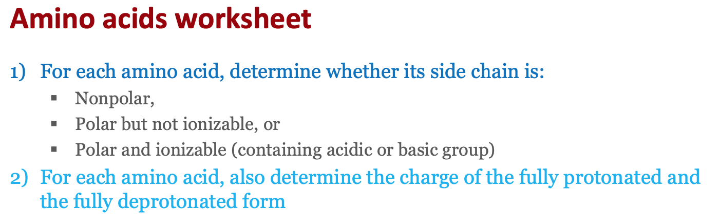 Solved Amino acids worksheet 1) For each amino acid, | Chegg.com