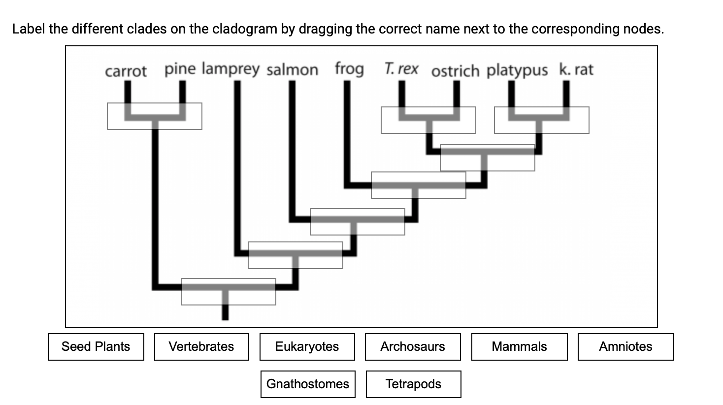 Solved The table below shows a series of series of | Chegg.com