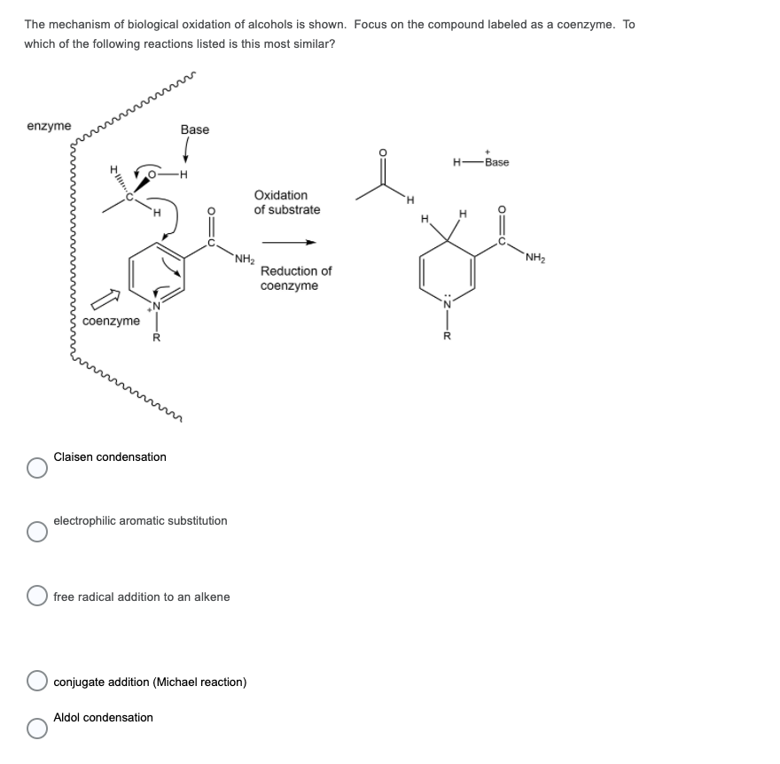Solved The mechanism of biological oxidation of alcohols is | Chegg.com