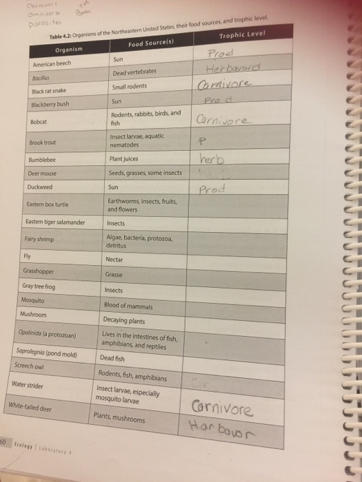 Solved Table formal laboratory reports lab report.) nour | Chegg.com