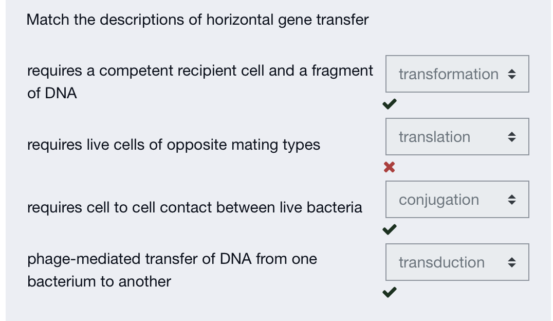 Solved Match the descriptions of horizontal gene transfer | Chegg.com