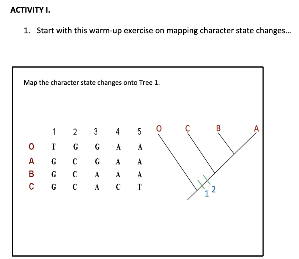 Solved 1. Start with this warm-up exercise on mapping | Chegg.com