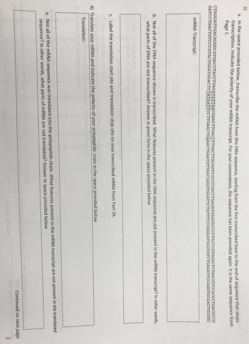 Solved The sequence below represents both strands of a DNA | Chegg.com