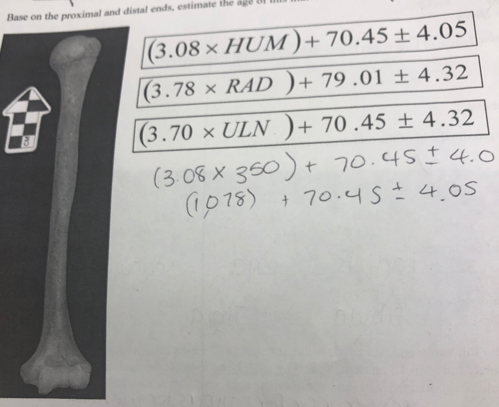 Solved QUESTION: Given the formula, calculate the stature of | Chegg.com