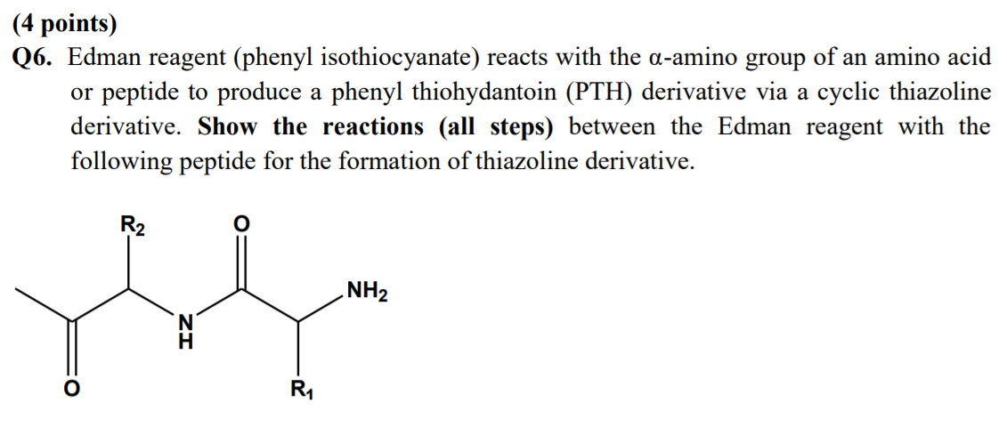 Solved (4 points) Q6. Edman reagent (phenyl isothiocyanate) | Chegg.com