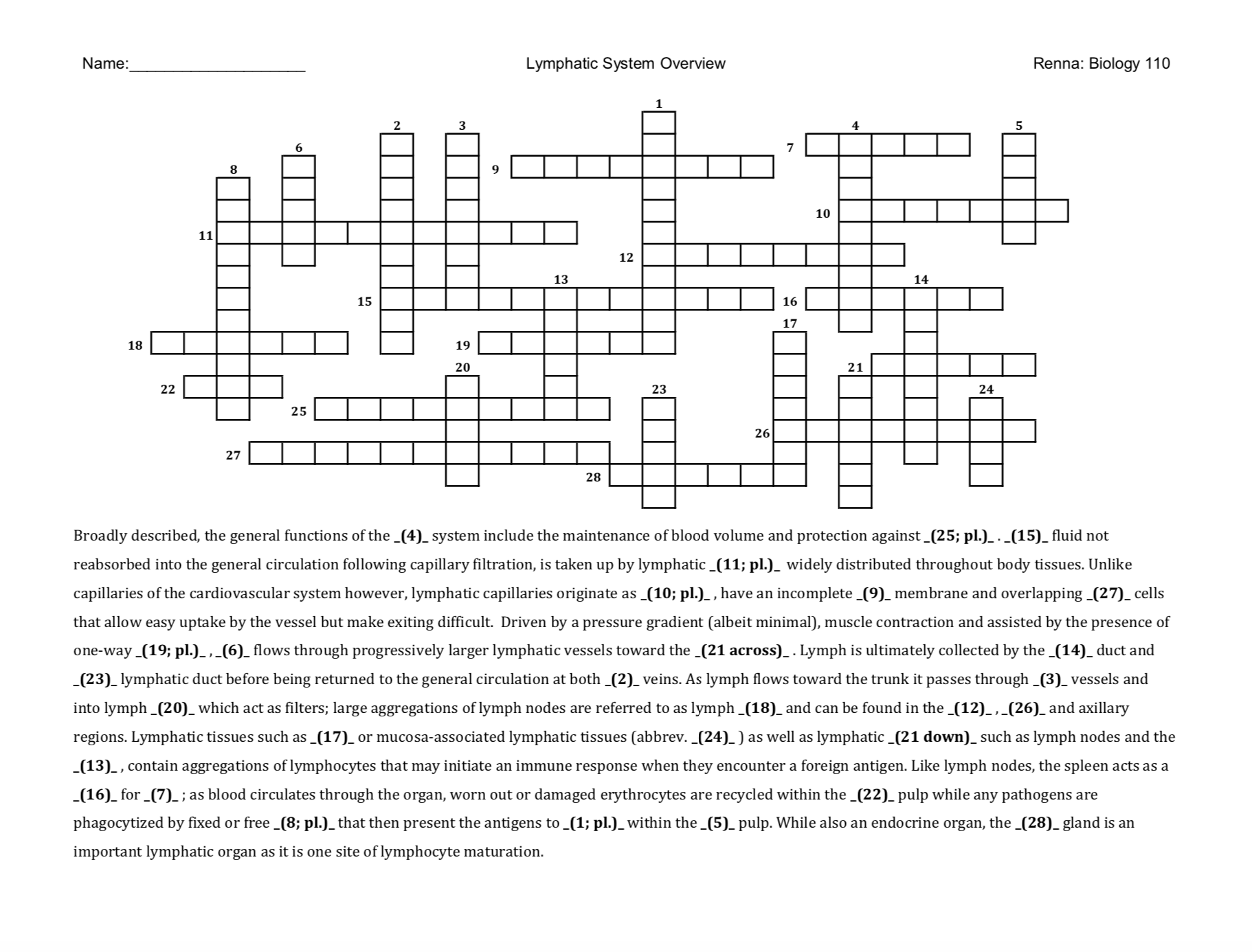 Solved Name: Lymphatic System Overview Renna: Biology 110 | Chegg.com