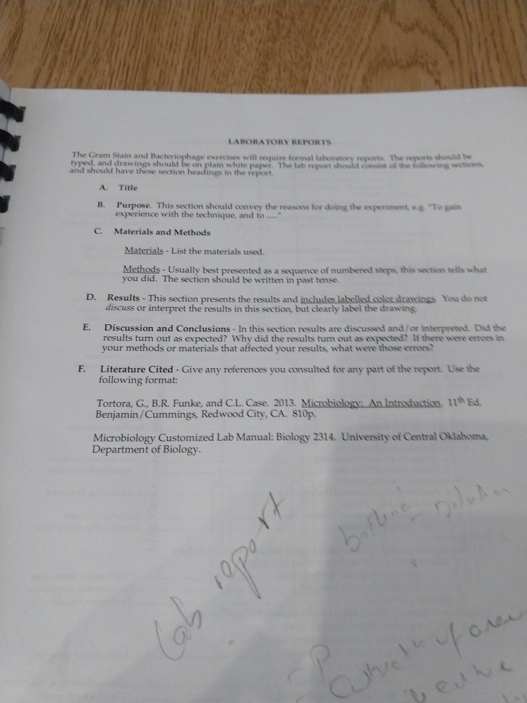 LABORATORY REPORTS The Gram Stain and Bacteriophage | Chegg.com