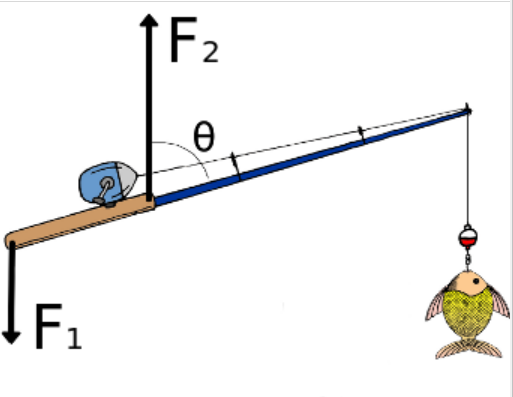 Solved Problem 2: A fisherman has caught a fish on his | Chegg.com