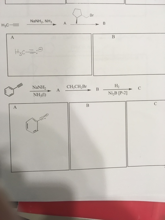 Solved Br NaNH2, NH3 H2 Ni2B [P-2] NaNH2 CH CH2Br NH;1) | Chegg.com