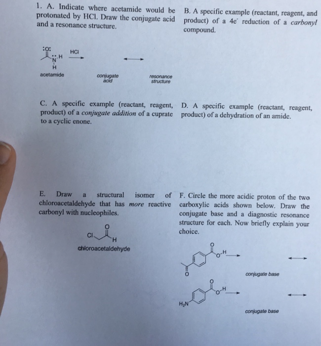 Solved 1. A. Indicate where acetamide would be B. A specific | Chegg.com