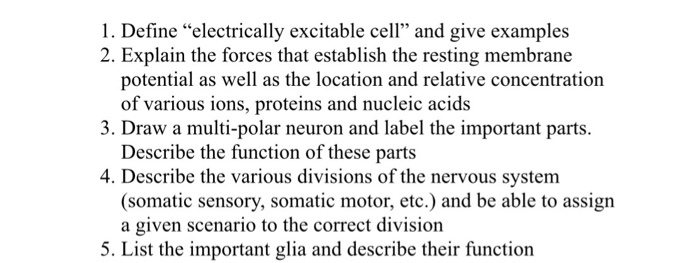Solved 1. Define "electrically excitable cell" and give | Chegg.com