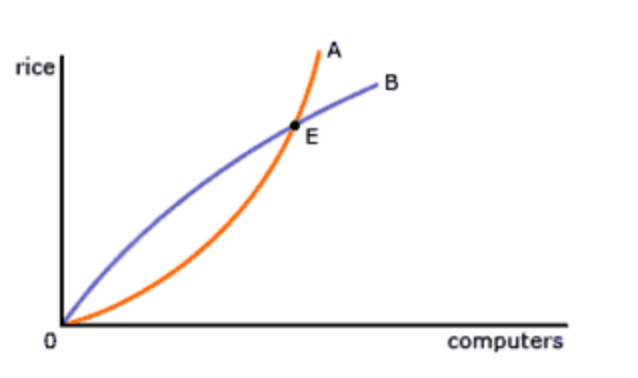 Solved 1.In the case of the imitation lag hypothesis, a. the | Chegg.com