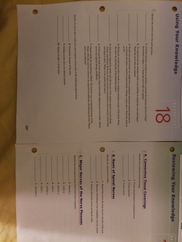 Solved JUetio Using Your Knowledge EXERCISE Reviewing Your | Chegg.com