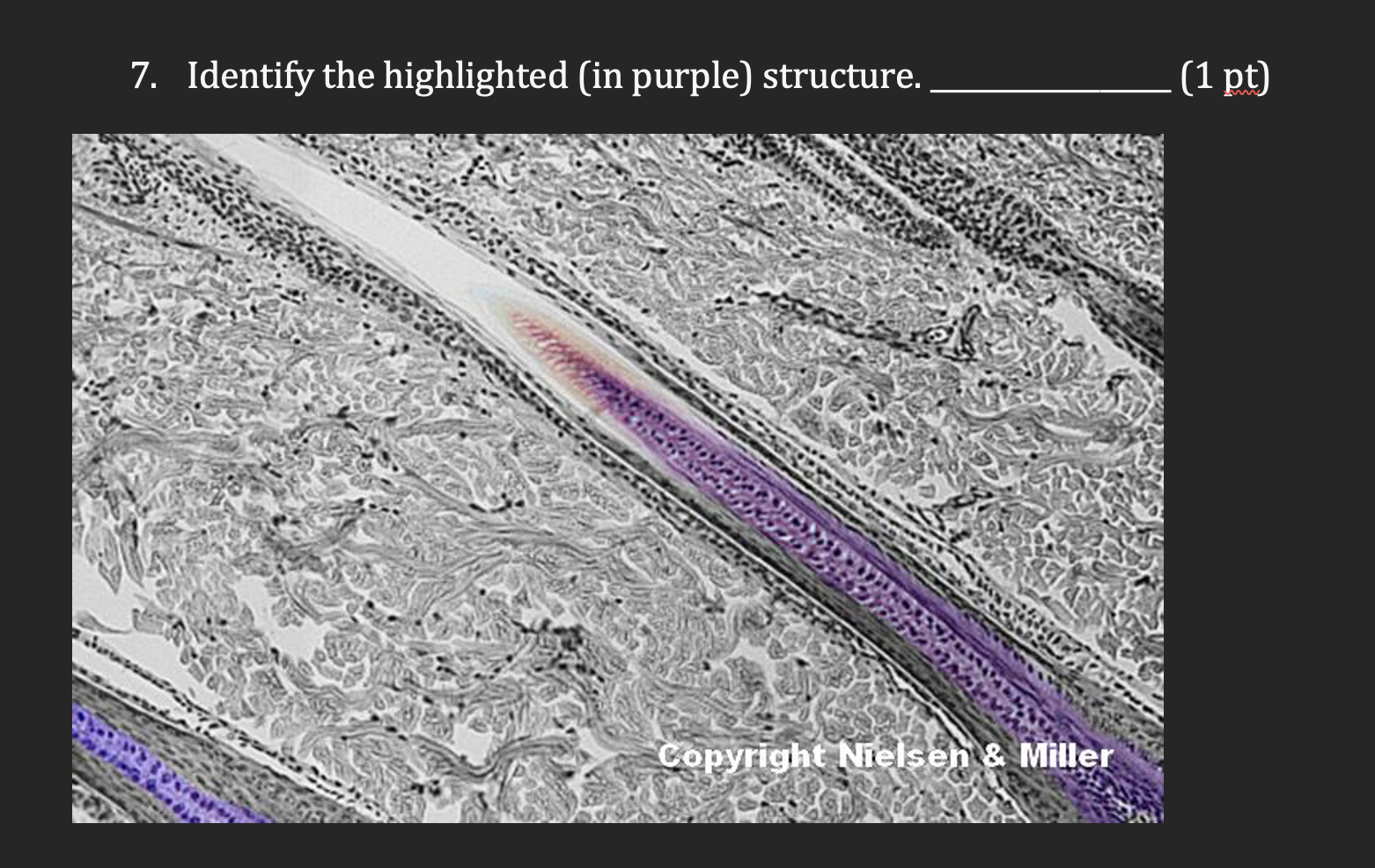 Solved 7. Identify the highlighted (in purple) structure. | Chegg.com