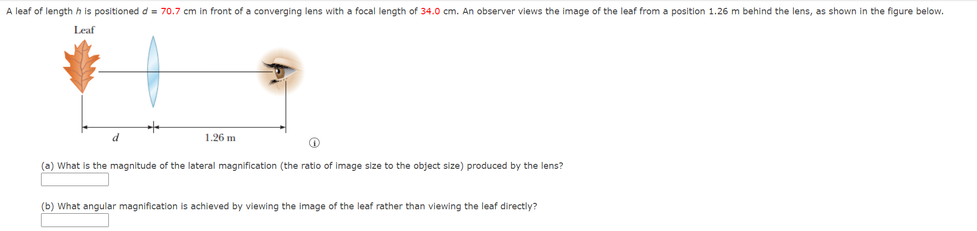 Solved (a) What is the magnitude of the lateral | Chegg.com