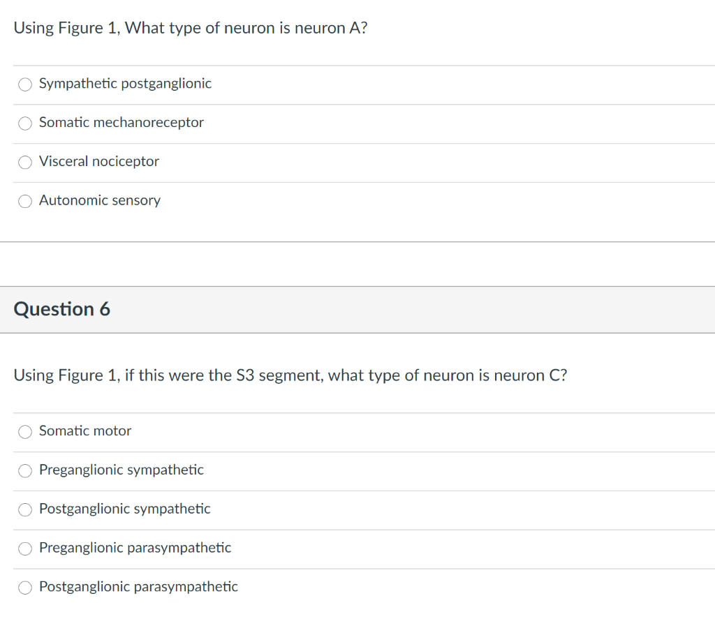 Solved Location Q Neuron A Small Intestine Neuron B Neuron C | Chegg.com