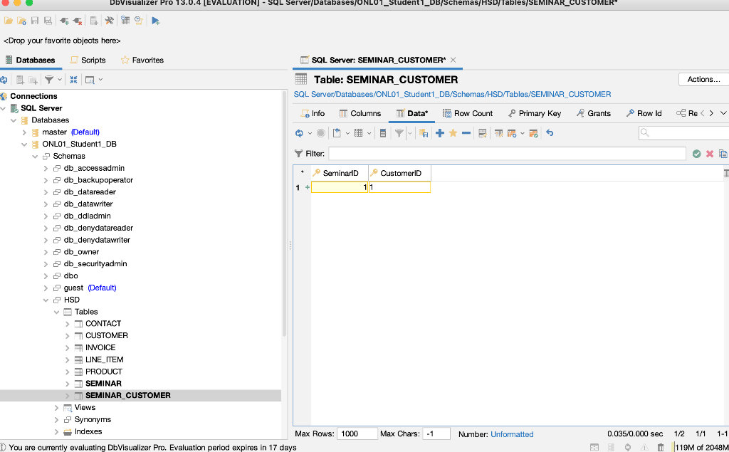 Solved I am inserting data into a DBVisualizer and I | Chegg.com