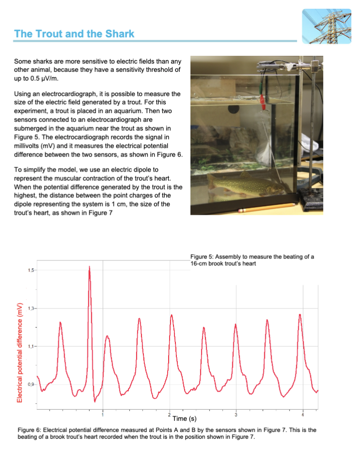 Solved The Shark’s Sense of ElectroreceptionElectric Field | Chegg.com