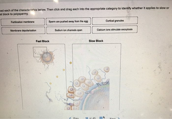 Solved ad each of the characteristics below. Then click and | Chegg.com