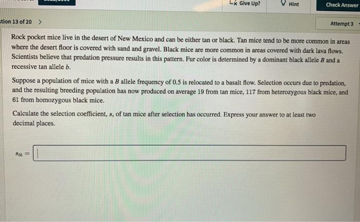 Solved LX Give Up? Hint Check Answer stion 13 of 20 > | Chegg.com