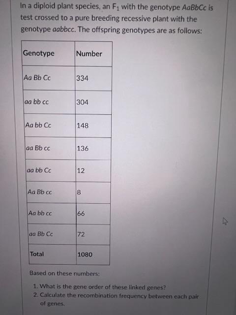 Solved In a diploid plant species, an F1 with the genotype | Chegg.com