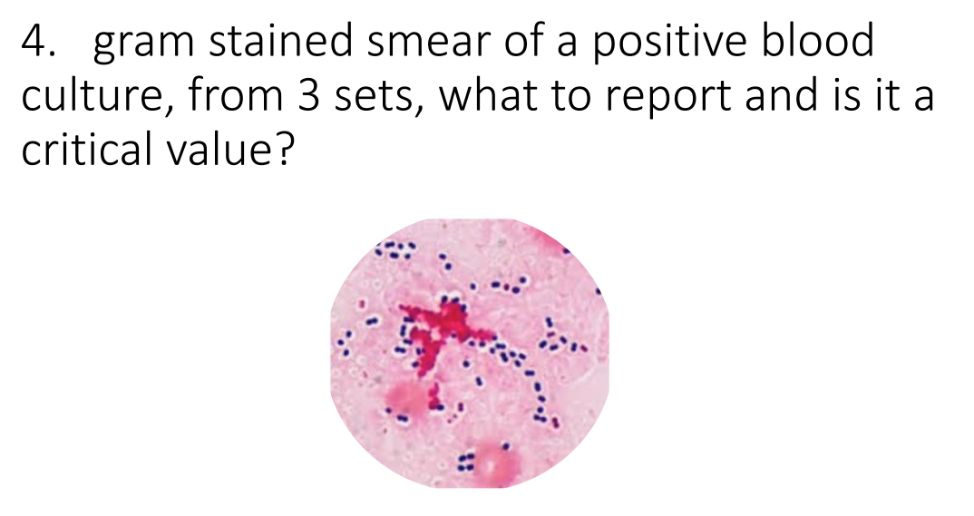 Solved 3. gram stained smear of sputum: to reject sputum or | Chegg.com