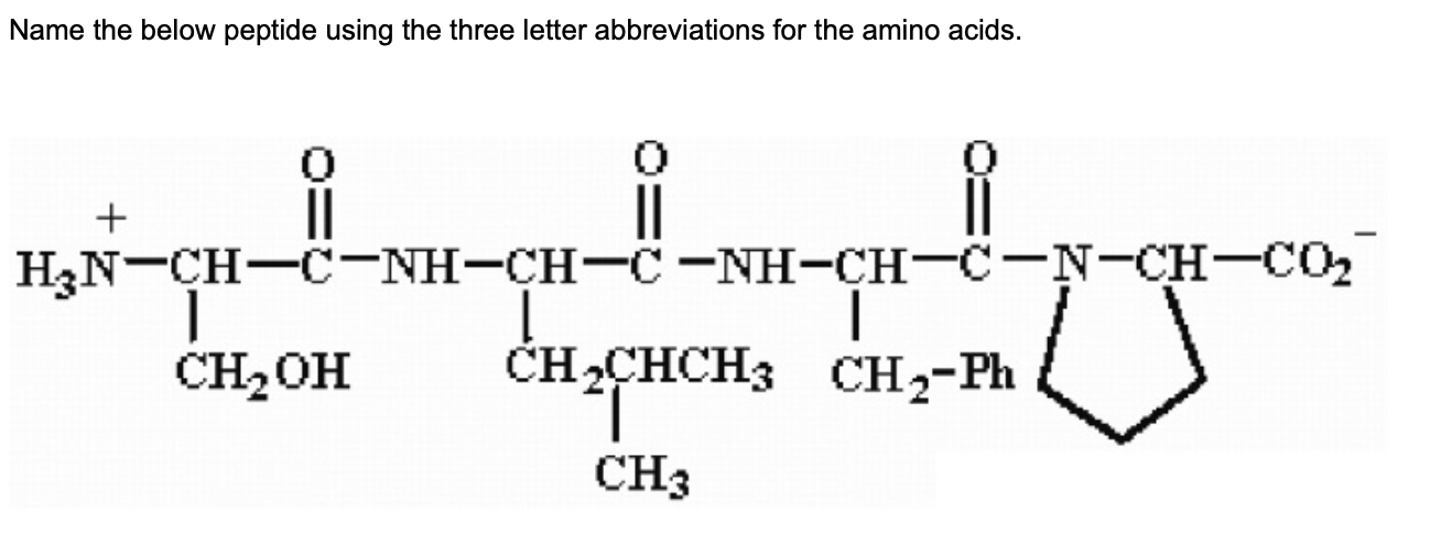 Solved Name the below peptide using the three letter | Chegg.com