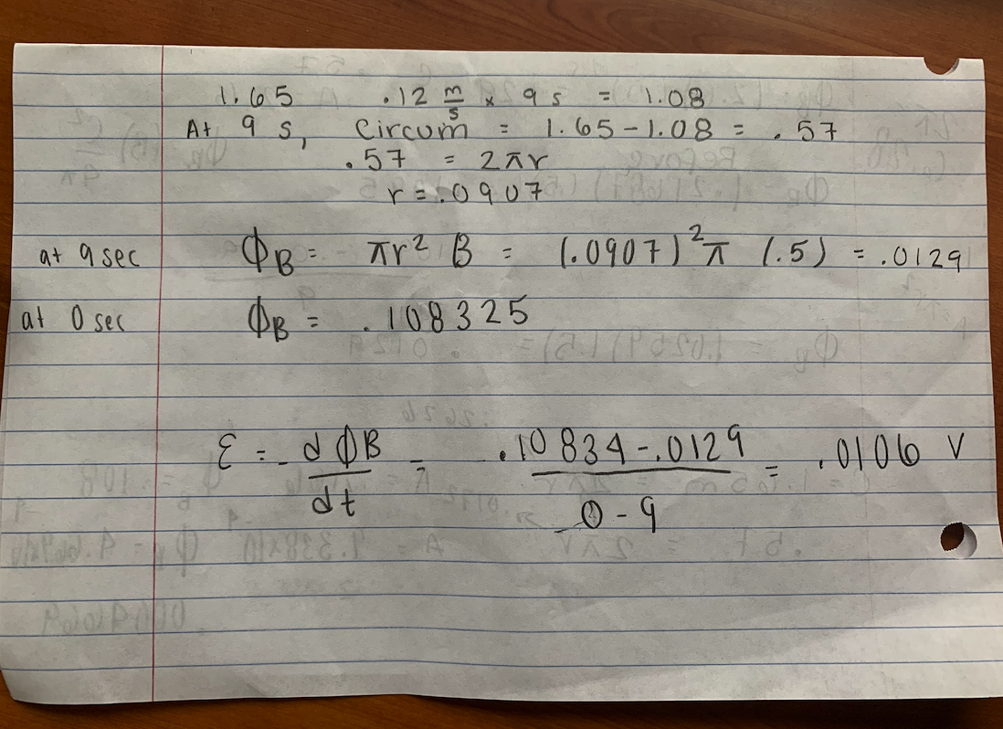 A circular loop of flexible iron wire has an | Chegg.com
