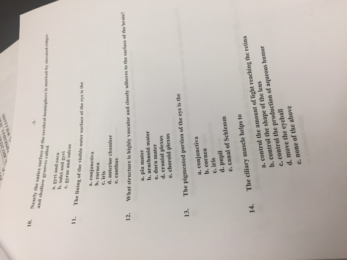 Solved C.WHAIAMS and shallow grooves called surface of the | Chegg.com