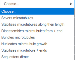 Solved Match the microtubule regulators with their function | Chegg.com