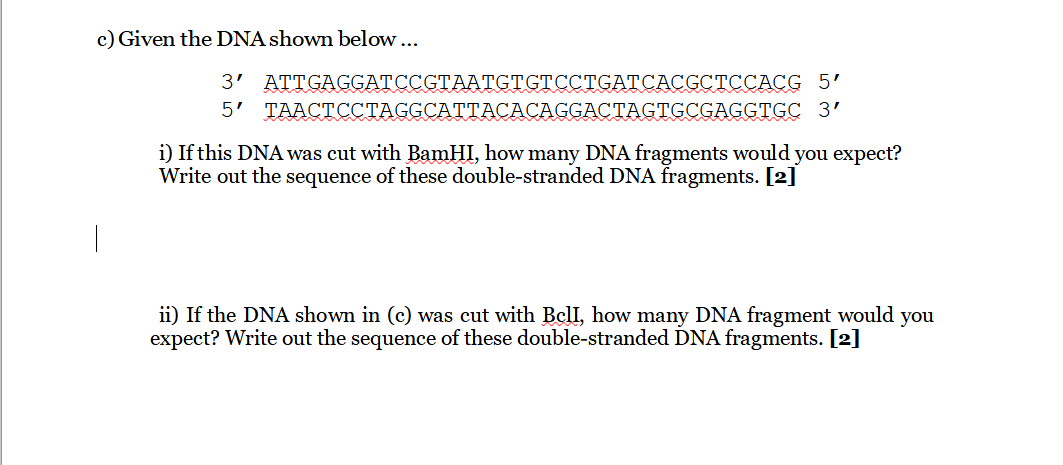 Solved c) Given the DNA shown below ... 3' | Chegg.com