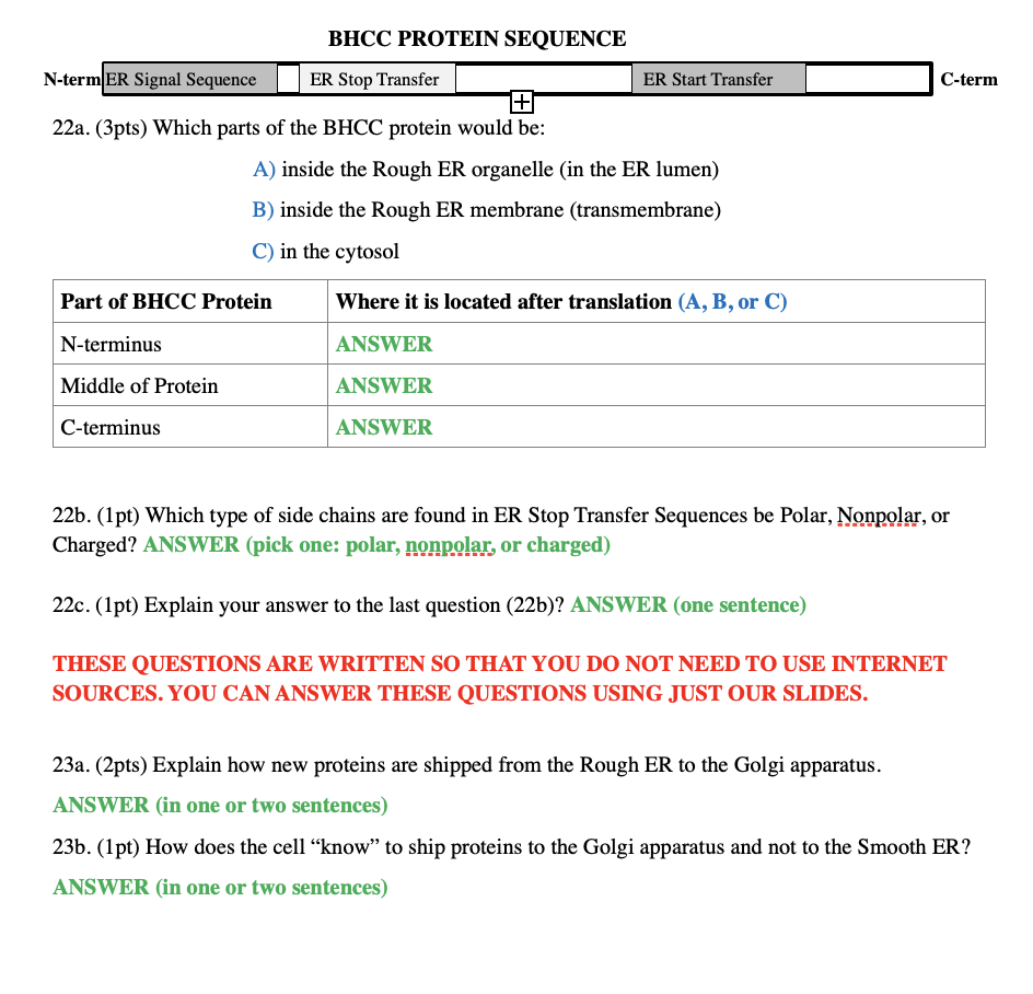 BHCC PROTEIN SEQUENCE N-term ER Signal Sequence ER | Chegg.com