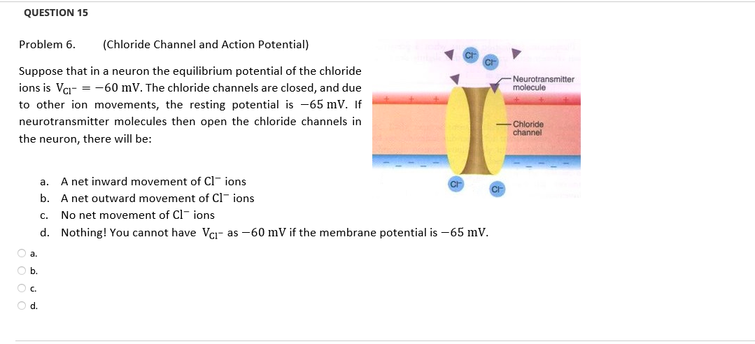 Solved QUESTION 15 Problem 6. (Chloride Channel and Action | Chegg.com