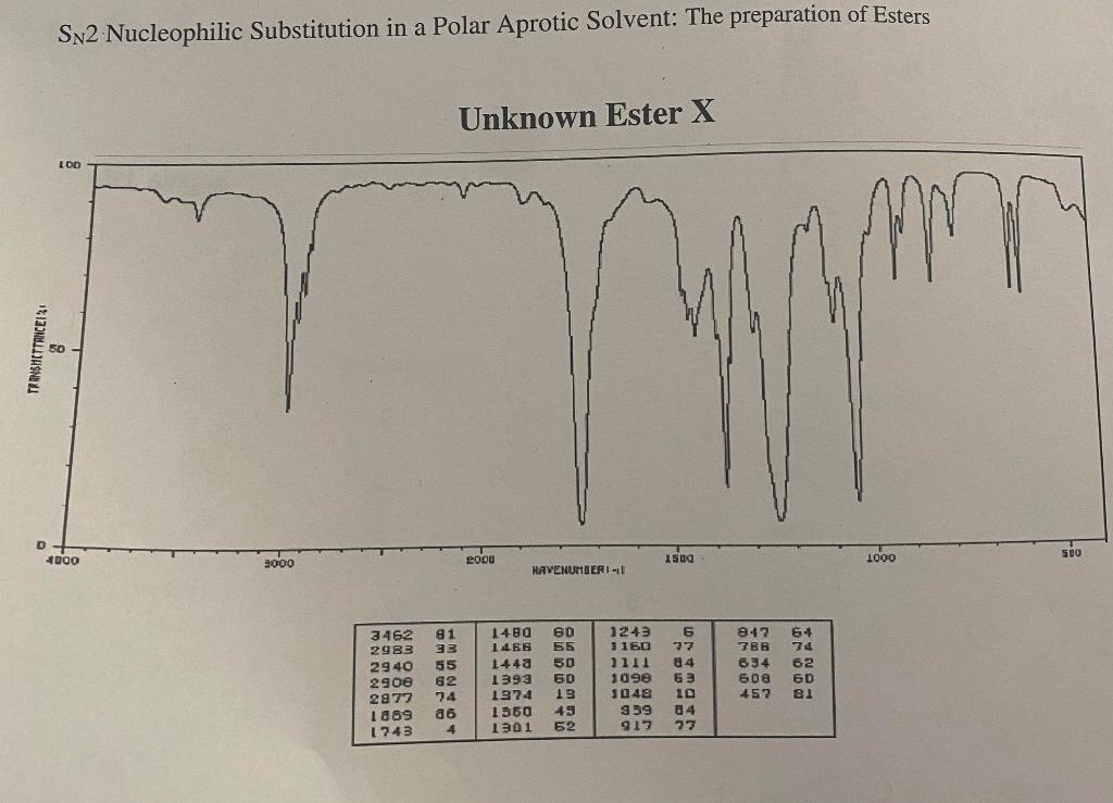 Solved SN2 Nucleophilic Substitution in a Polar Aprotic | Chegg.com