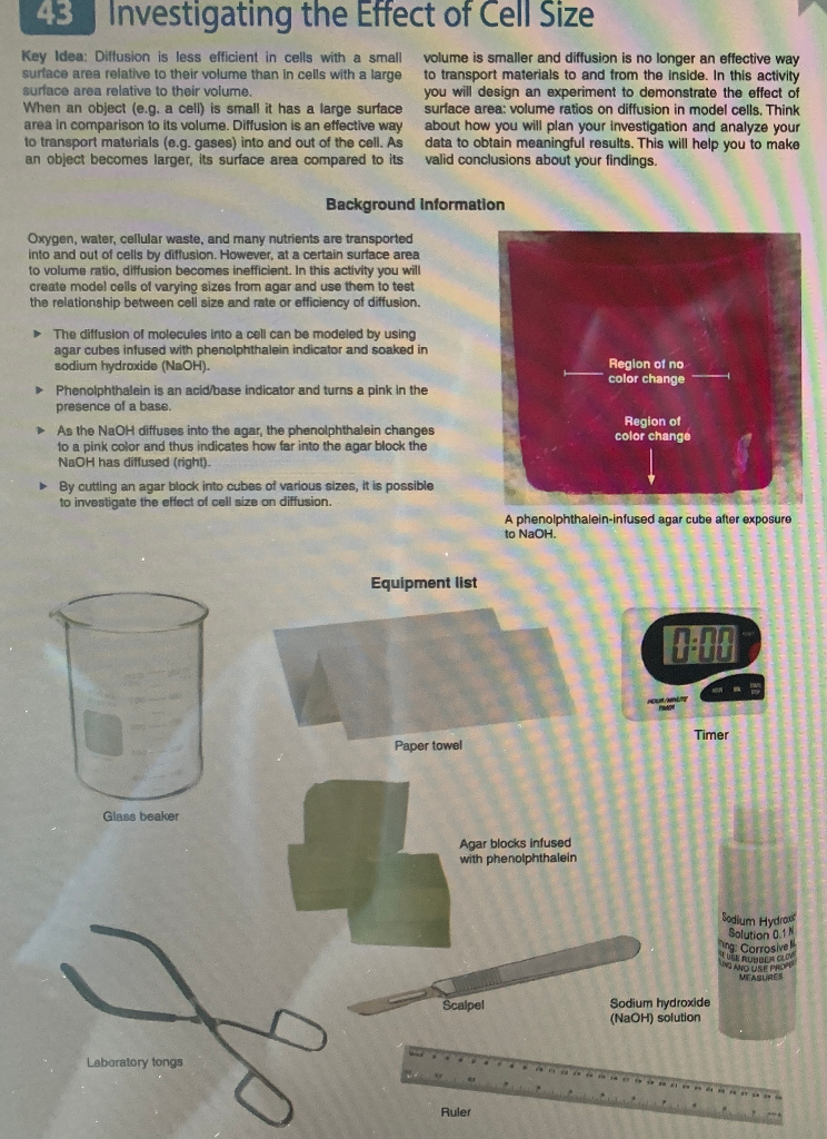 based on the aim of this experiment "To investigate | Chegg.com