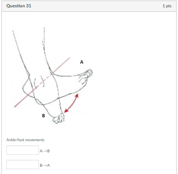Solved Complete the following Lab Activity on Movement | Chegg.com