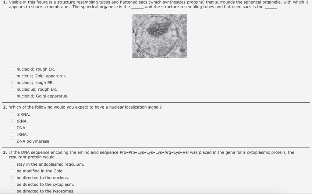 Solved Really need help with biology homework questions. I | Chegg.com
