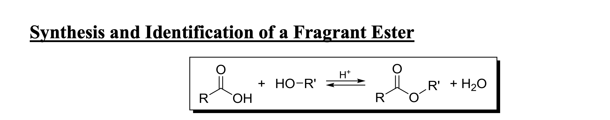Solved Synthesis and Identification of a Fragrant Ester H+ | Chegg.com